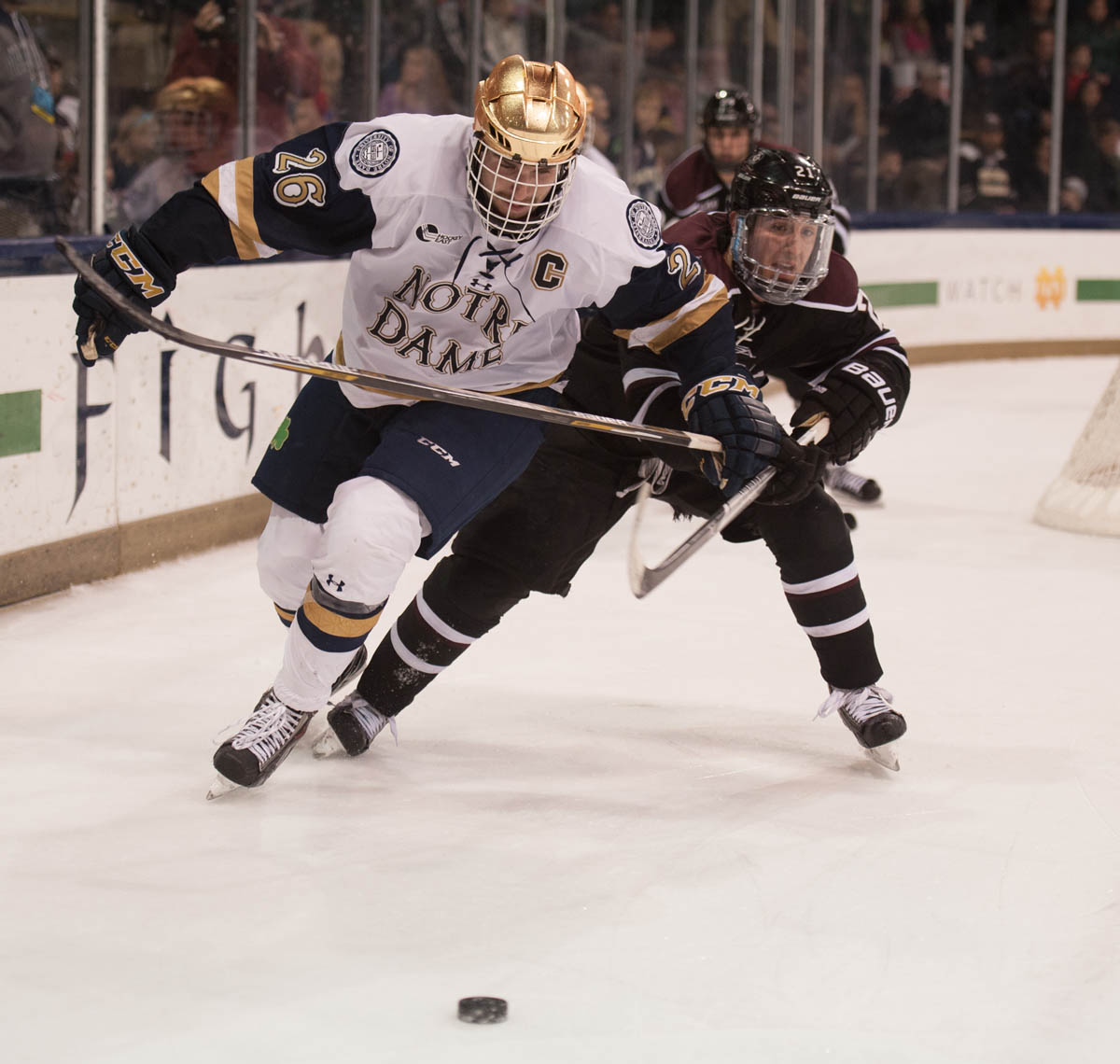 Rangers sign Steve Fogarty to entry level contract; Mats Zuccarello ...