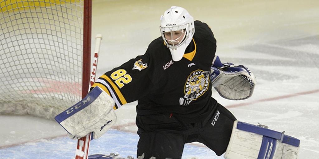 Adam Huska, Igor Shestyorkin solidify Rangers’ goaltending future ...